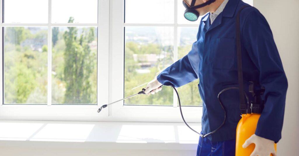 5 Ways to Rodent-Proof Your Home Before Winter